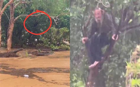 Men Rescue Flood Victim From Tree In Queensland The North West Star Mt Isa QLD