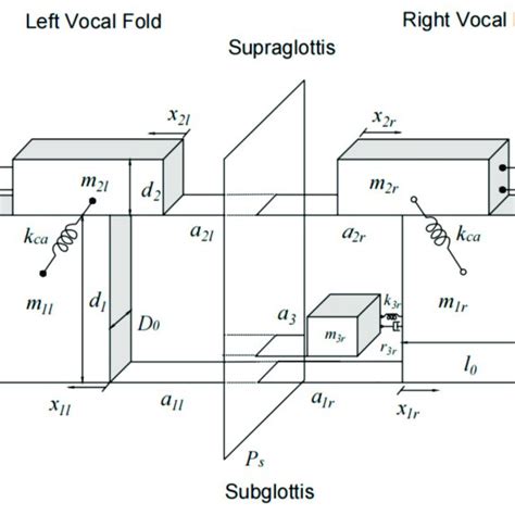 Schematic Of Vocal Fold Model With A Polyp Vertical Plane Represents Download Scientific