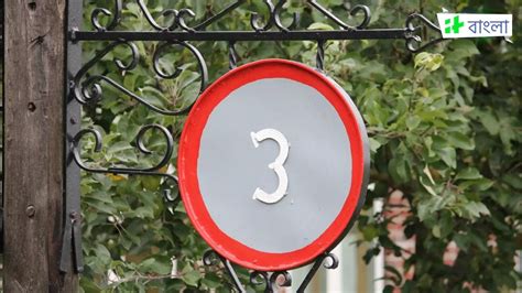 Mulank 3 Numerology Predictions 2025 নতুন বছরে ৩ মূলাঙ্কের জাতকদের কর্মক্ষেত্রে সাফল্যের