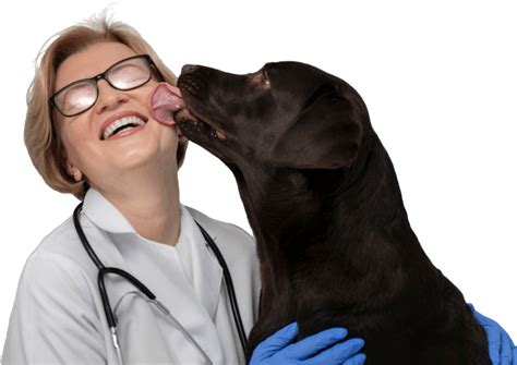 Why Cloud Based Veterinary Software For Vets Are Better Than