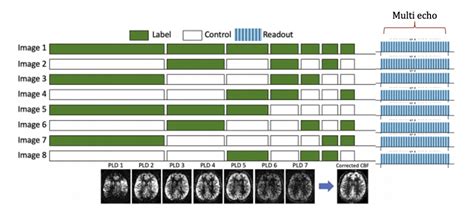 The Debbie Sequence Multi Pld Is Obtained Using Hadamard Encoded