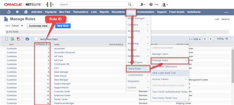 Netsuite Connection Prerequisites Celigo Help Center