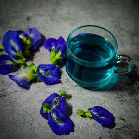 Butterfly Pea Flower Tea Davidstea At Michelle Peckham Blog
