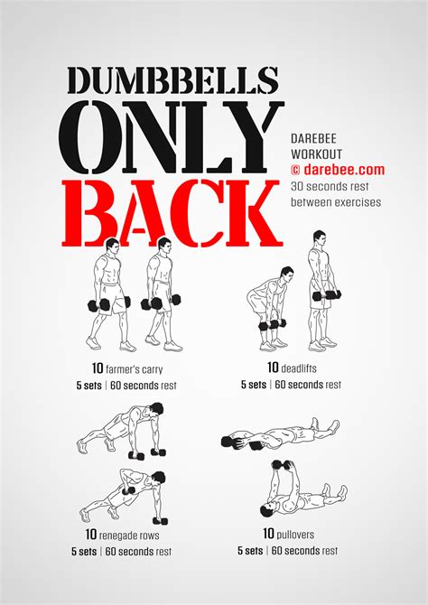 Dumbbells Only Back Workout