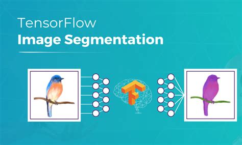 Do Image Segmentation Model By Williansalceda Fiverr