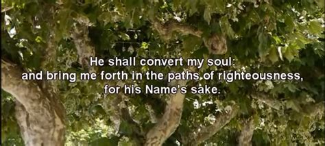 29 Good Discouragement Bible Verses Connectus