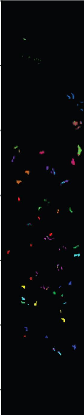 Classification Effect Diagrams Of The Bs Dataset Under The Different