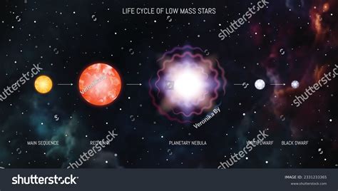 Low Mass Main Sequence Stars Stellar Evolution After The Main Sequence