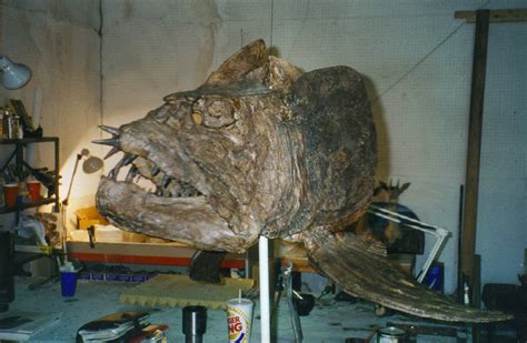 Abg Xiphactinus 1999 16  Member Collections The Fossil Forum