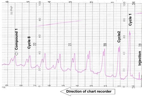 Hplc Chromatogram Of Compound 1 In A Closed Loop Recycling Hplc System Download Scientific