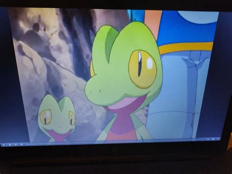 Pokemon Ashs Treecko 2 By Supermike92 On Deviantart