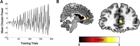 Learn Phase Correlation Between Neural Activity In The MPFC And SMC Download Scientific