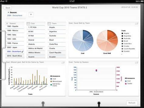 SAP Data Profiling App Profile App App Pie Chart