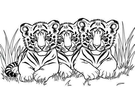 Tiger Cubs Coloring Page Free Printable Coloring Page