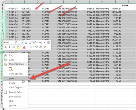 How To Insert Rows In Excel Automatically Based On Cell Value Design Talk