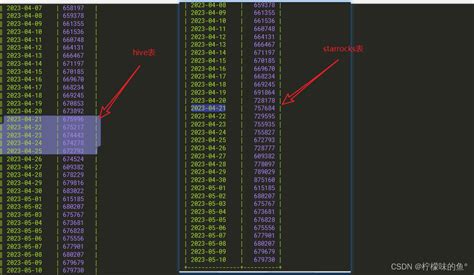 Seatunnel实战：hivetostarrocksseatunnel Hive Csdn博客