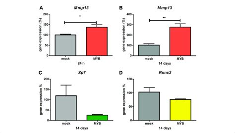 Mmp13 Sp7 And Runx2 Expression In Overexpressed Calvaria Cell Line