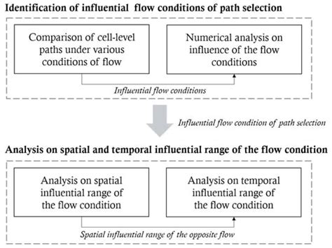 Sustainability Special Issue Data Driven Analysis For Active Transportation