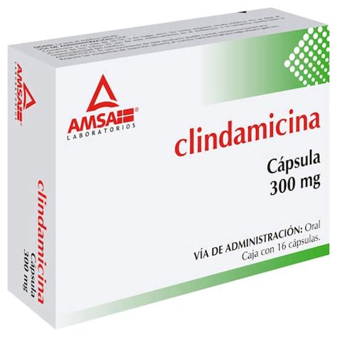 Am Clindamicina 300mg C16cap Nva Imagen