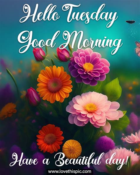 Hello Tuesday Good Morning Have A Beautiful Day Pictures Photos And
