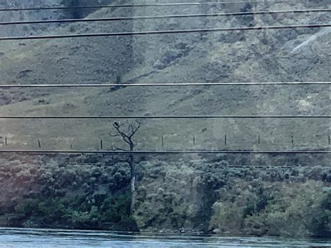 Img 1247 James Larrison Flickr