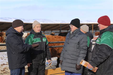 Дээд зэргийн амт чанарын баталгаатай мах махан бүтээгдэхүүнийг Монголдоо үйлдвэрлэж байна