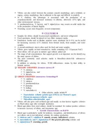 Vibrio Practical Notes PDF
