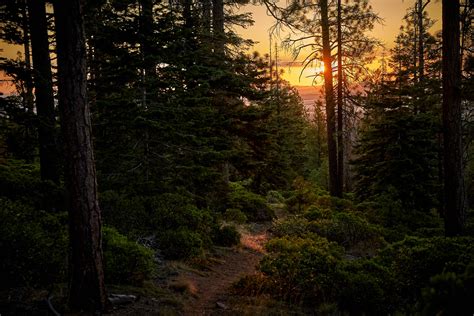 Bikepacking The Oregon Timber Trail Video