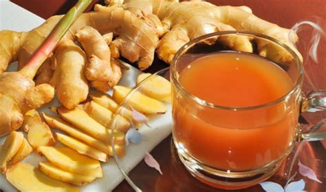 Kopyor Klapa Bogor Tentang Oleoresin Jahe