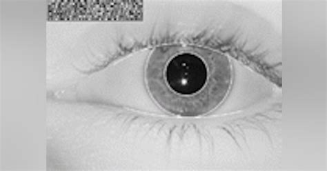Spotlight On Advanced Technology Wavelet Analysis Ensures Accurate