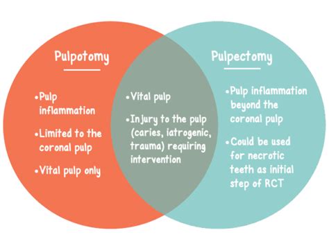 Pulpotomy Vs Pulpectomy My Dental Key