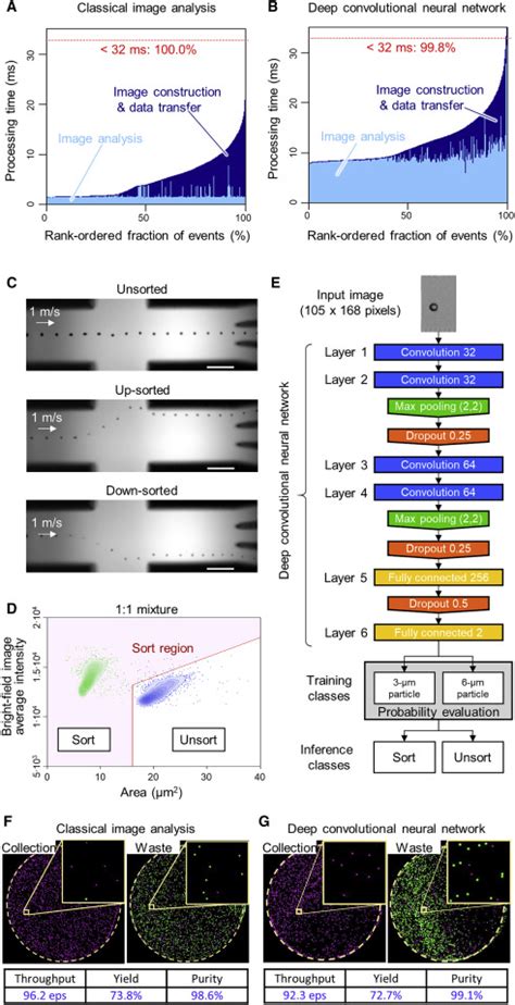 Intelligent Image Activated Cell Sorting Cell