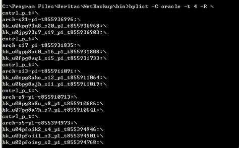 通过netbackup恢复oracle备份实操手册 Csdn博客