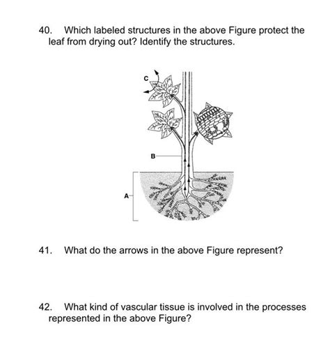 Solved Hey Pls Answer All Becuse It Under One Questuon Tn