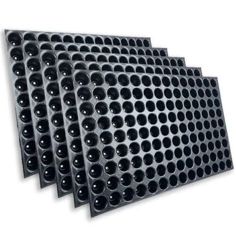 Seeding Trays At Best Price In Hyderabad Telangana Abhinaya Agro