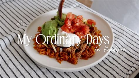 나이 먹고 보려고 만드는 Vlog I 2025년 3월 일상 기록 I 미국 일상 눈보라 치는 미중부의 봄 시카고 당일치기