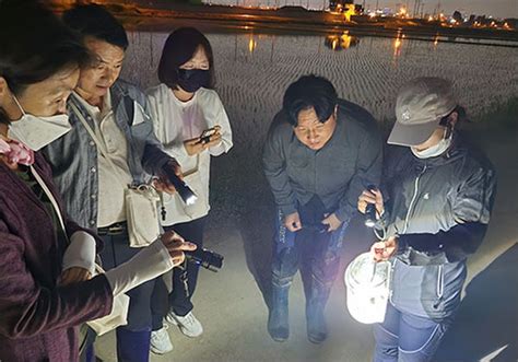 수원청개구리 수원 평리들에서 꾸준히 살아