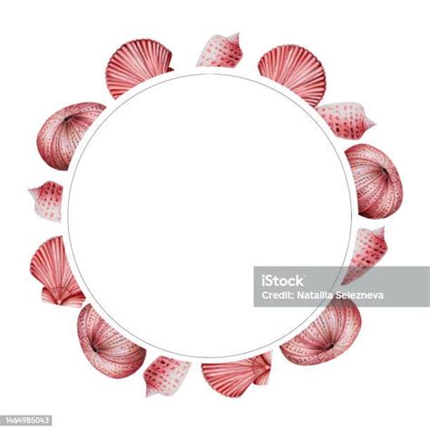 조개 껍질이 있는 수채화 프레임입니다 흰색 고립된 배경에 수중 생물 물체를 손으로 칠하는 클립아트 디자이너 장식 엽서 포장지 스크랩북 표지 초대장 웨딩 디자인 포스터 및