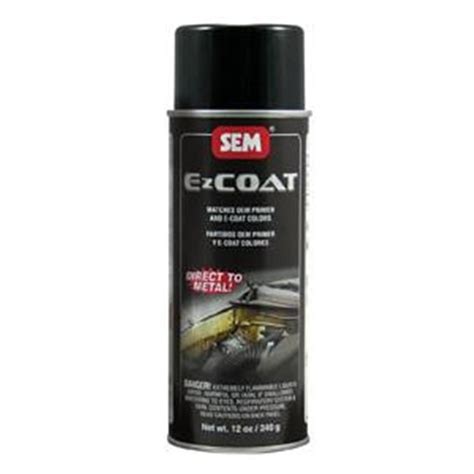 Sem Products 62213 Ez Coat Black Aerosol
