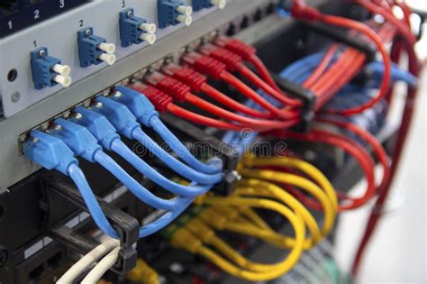 Network Switch And UTP Ethernet Cables Stock Image Image Of Data Blue 170903821