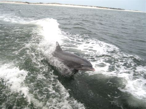 Older Shots Kimberly Rogowski