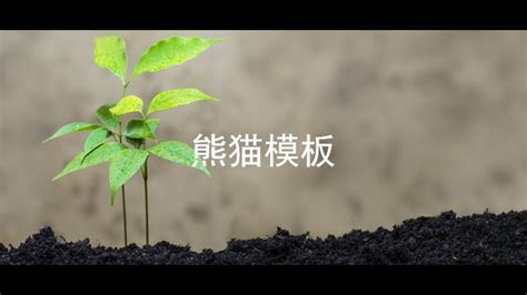 Cool Graphic General Publicity Introduction Flash Ppt Template Google