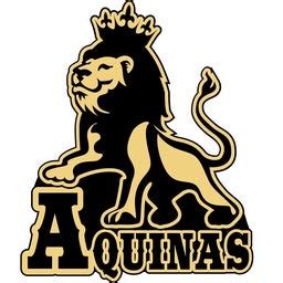 Aquinas High School David City Ne Football