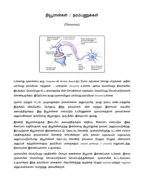 Neurons Notes Pdf