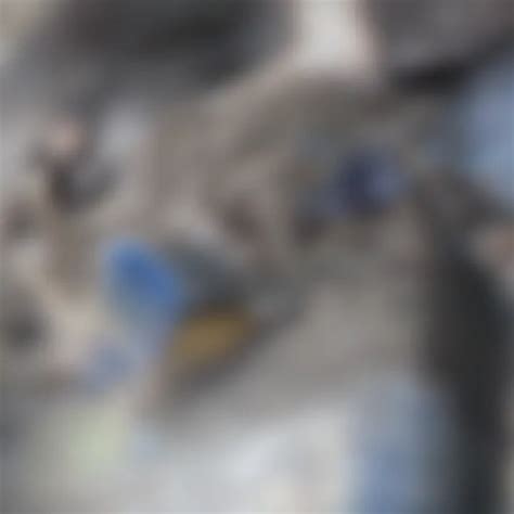 Diverse Modalities Of Pcr Testing Explained