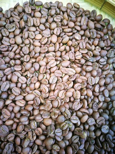 Honey Process แบ่งปันแค่ โรงคั่วกาแฟโอ่งดินเผาซาไกคอฟฟี่