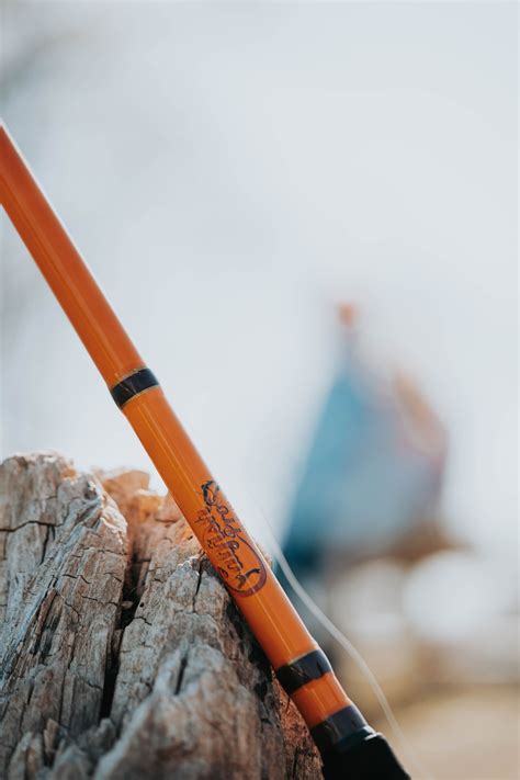 Fishing Rods Catfish Pro