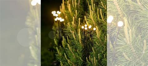 Садовый светильник на солнечной батарее купить в Москве с доставкой Товары для дома и дачи Авито