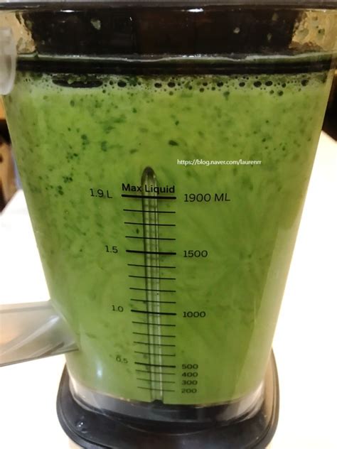 다이어트 건강 디톡스 주스