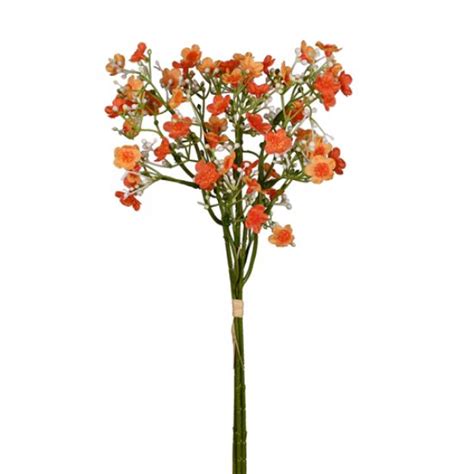 36cm Forget Me Not Bundle Orange Titleys Flowers Direct Florist
